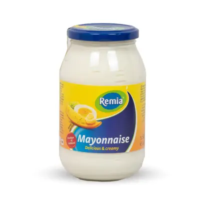 Remia Mayonnaise 500g - foodgallerybd.com