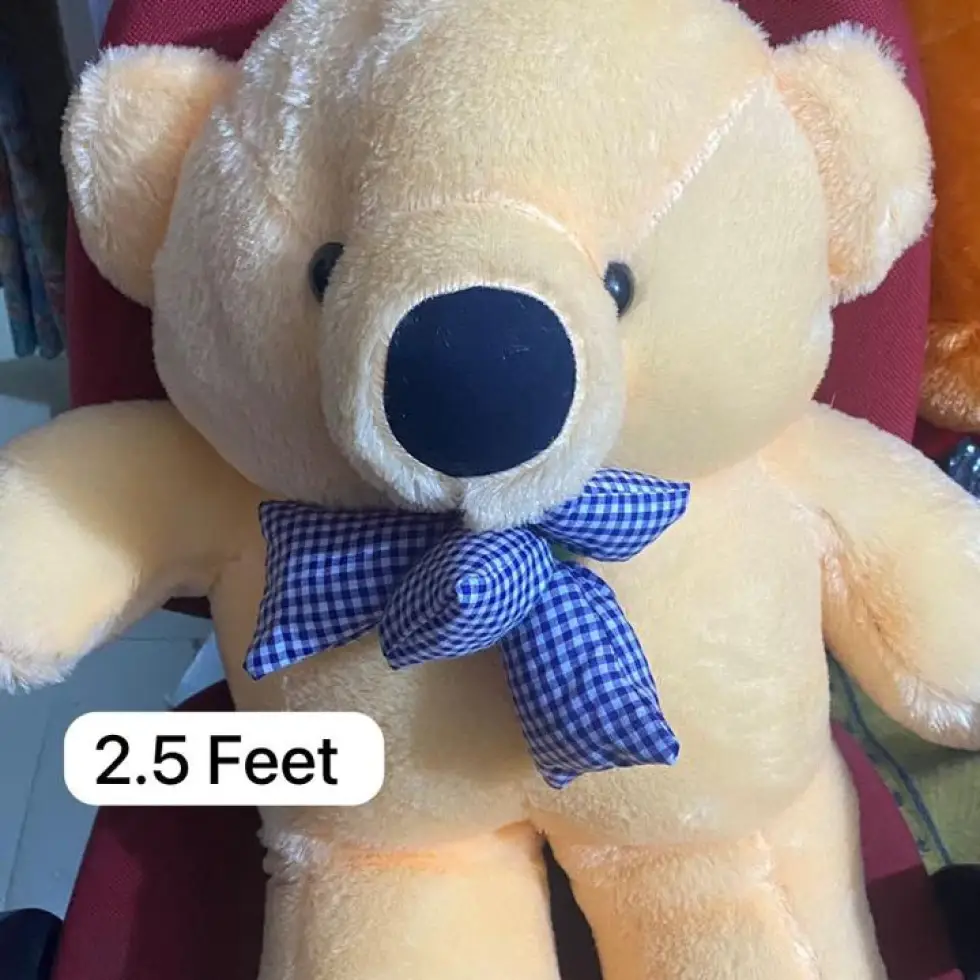 Big Teddy Bear Price in Bangladesh With Birthday Gift for Husband ...